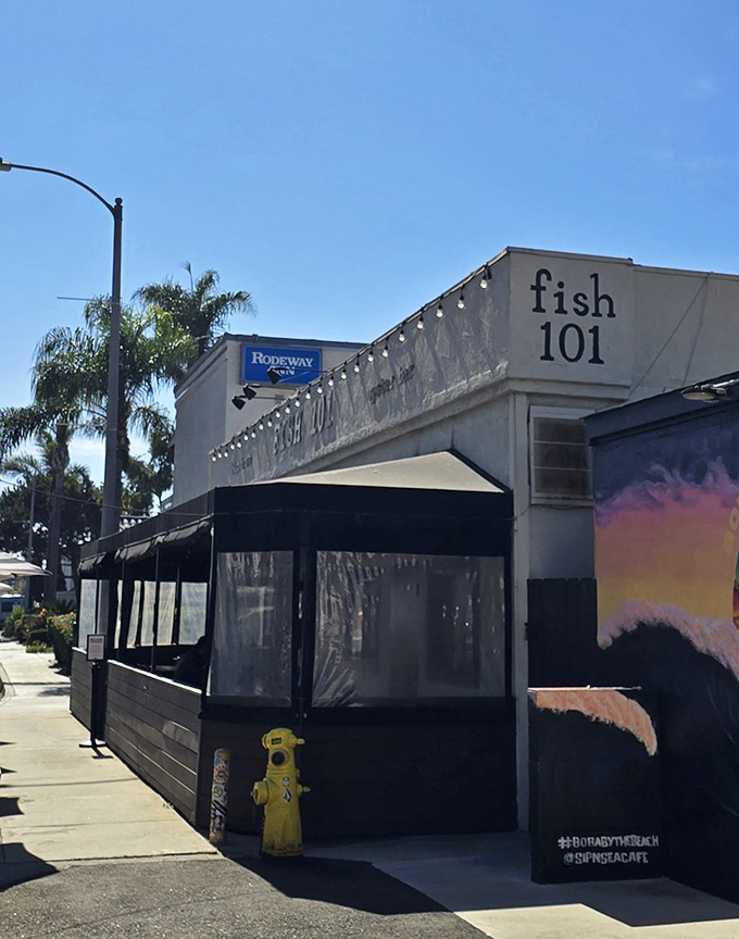 The unassuming exterior of Fish 101 in Leucadia might fool you, but locals know this modest storefront houses seafood treasures worth their weight in gold.