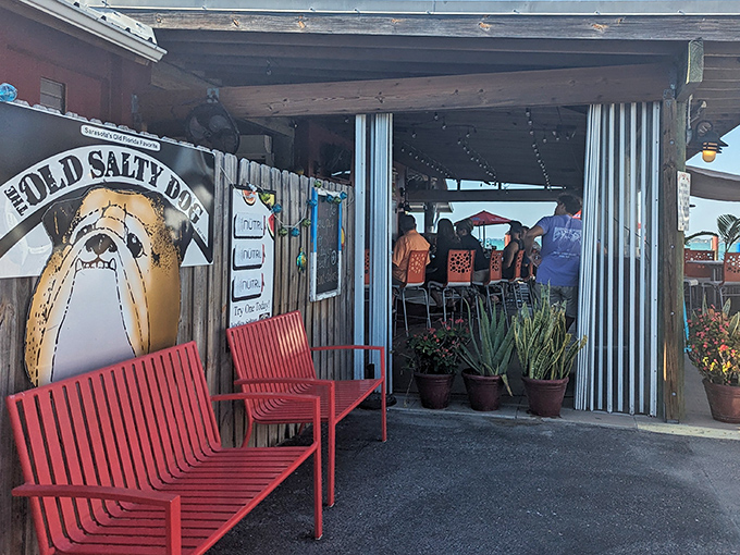 The weathered charm of The Old Salty Dog's exterior isn't by design&mdash;it's earned through years of salty air and satisfied customers. Those red benches aren't just for show.