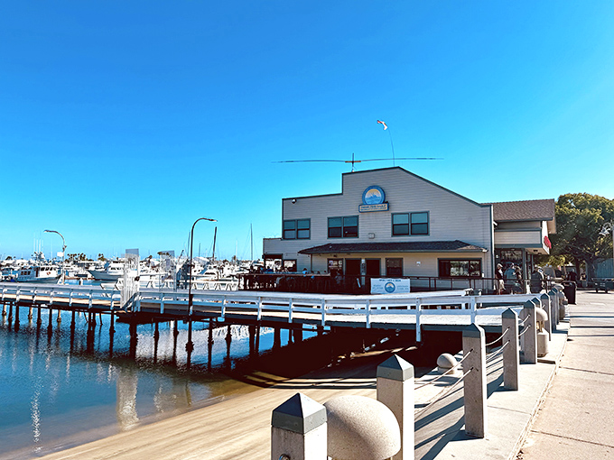 Where ocean meets plate: Mitch's Seafood sits so close to the water, you could practically cast a line from your table. San Diego's harbor views come complimentary with every meal.