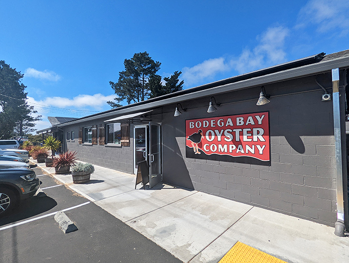 The unassuming exterior of Bodega Bay Oyster Company proves once again that the best seafood often hides behind the simplest facades. Ocean treasures await inside!