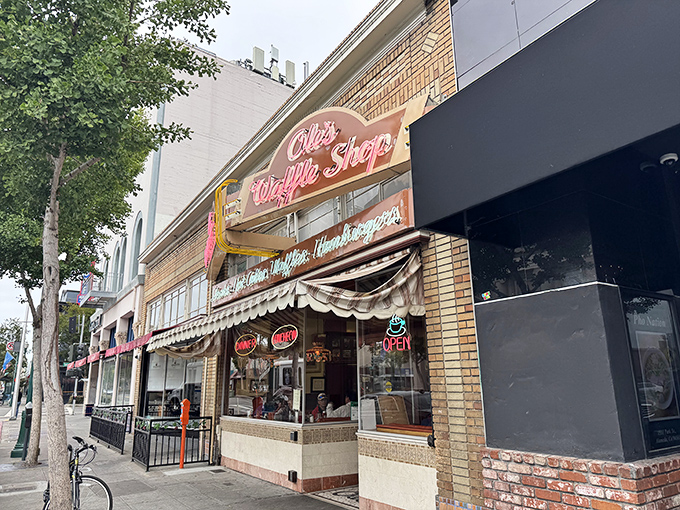 The iconic neon sign of Ole's Waffle Shop glows like a breakfast beacon on Alameda's Park Street, promising comfort food salvation to hungry souls.