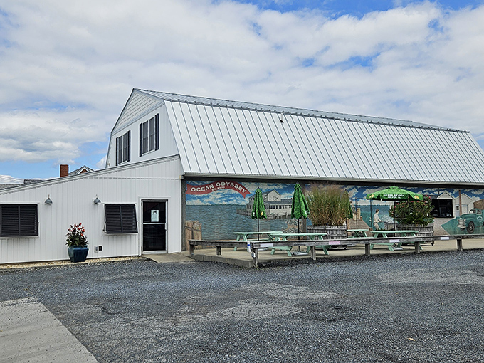 This unassuming Cambridge gem proves the best meals often come from the most unexpected places.
