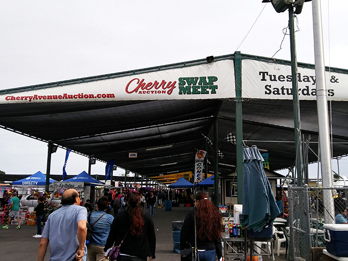 Welcome to treasure hunter's paradise, where your wallet and willpower face their ultimate test under Fresno's endless sky.