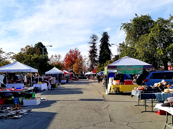 White tents stretch across the asphalt canvas, each one a portal to someone else's treasures waiting to become yours.