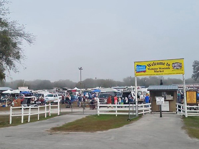 The gateway to treasure hunting paradise! Webster's iconic entrance promises adventures that'll make your inner collector do a happy dance.