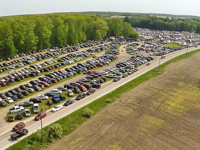 From above, the Armada Flea Market resembles a small city of treasure hunters. The parking alone tells you this isn't amateur hour!