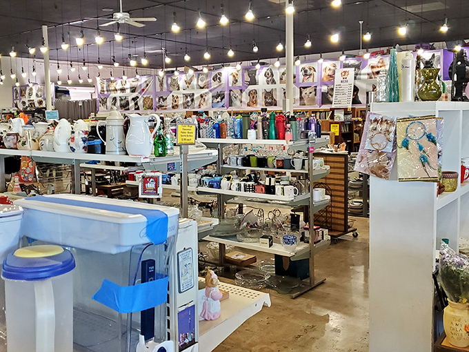 The unassuming exterior hides a treasure trove within – like finding out your quiet neighbor is secretly a rock star.