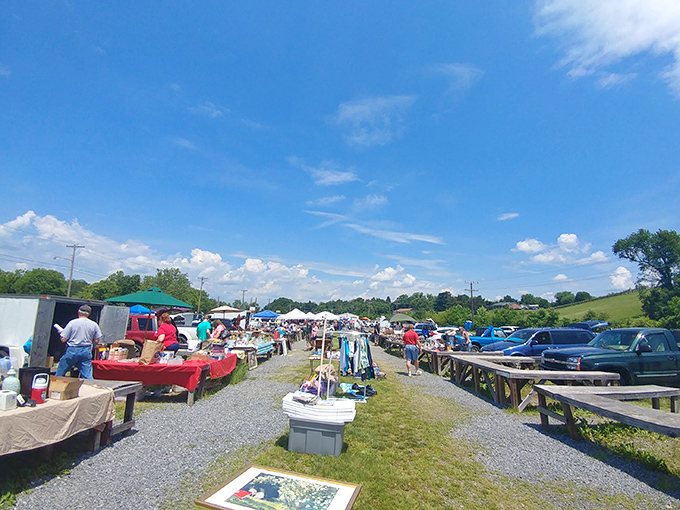 One vendor's treasure trove awaits under a green canopy, where vintage dolls and framed artwork create an irresistible roadside gallery of nostalgia.
