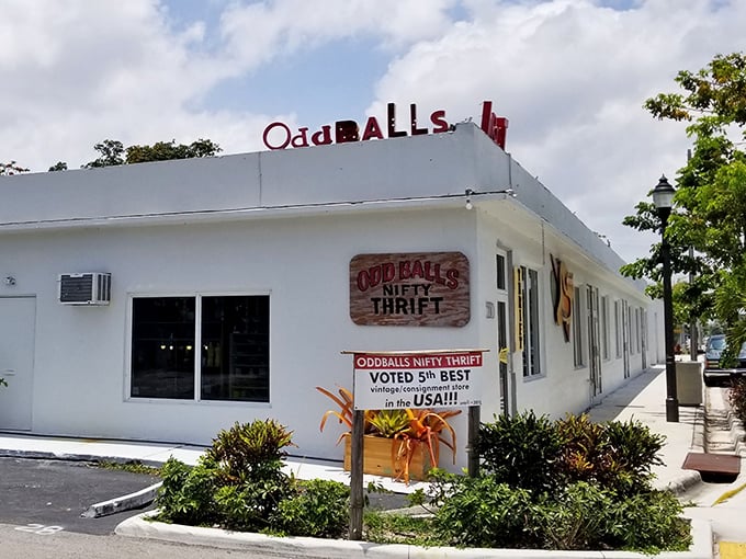 The neon-bright sign of Oddballs glows against its gray exterior like a beacon for bargain hunters. Guardian lion statues stand watch, promising treasures within.