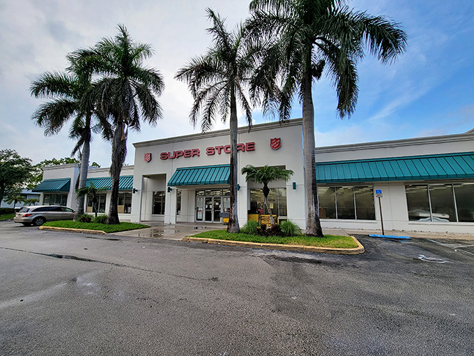Palm trees stand guard like tropical bouncers at this bargain hunter's paradise. The Salvation Army Super Store promises treasure hunting under Florida's blue skies.