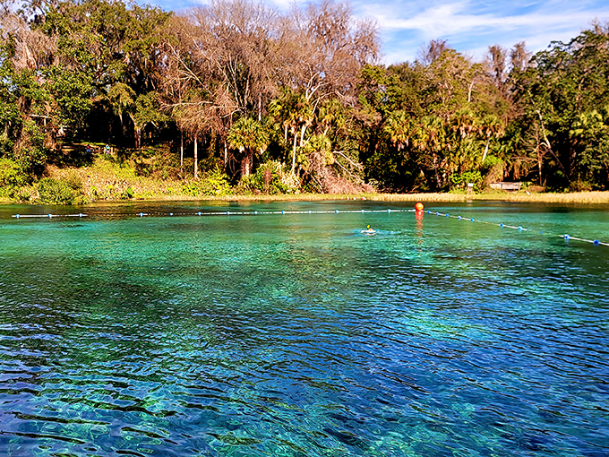 Nature's infinity pool! The impossibly clear turquoise waters of Rainbow Springs make even the fanciest resort look like a kiddie pool by comparison.
