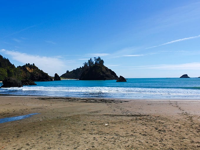 Nature's perfect postcard: College Cove's crescent-shaped shoreline embraces the Pacific, framed by towering redwoods and dramatic rock formations.