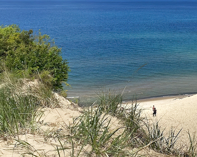 Where blue meets gold: Lake Michigan's endless horizon creates a postcard-perfect scene that no filter could improve upon at Van Buren State Park.