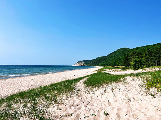 Paradise isn't always tropical. Esch Road Beach stretches before you like Michigan's answer to the Mediterranean, minus the passport requirement and overpriced espresso. 