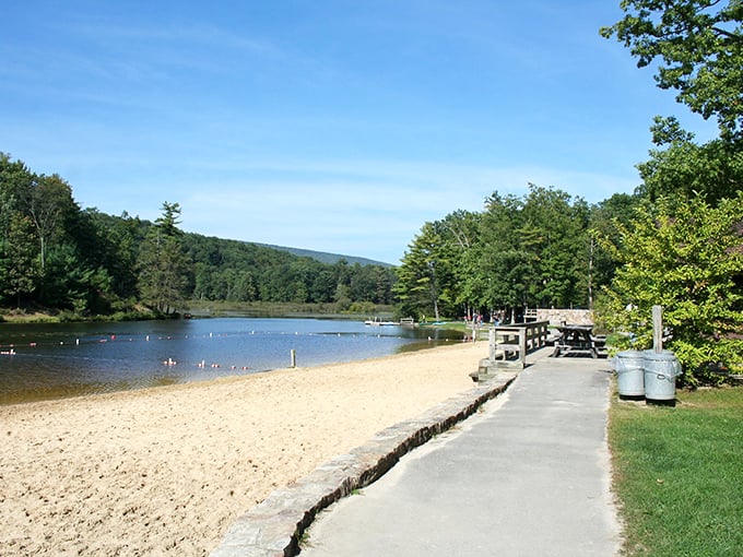 Nature's perfect postcard: crystal clear waters meet golden sand, all framed by Pennsylvania's lush forest canopy. Summer perfection awaits.