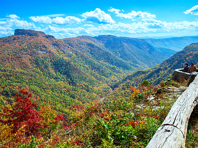 Mother Nature showing off her best work at Wiseman's View, where the Linville Gorge unfolds like a living topographical map beneath endless blue skies.