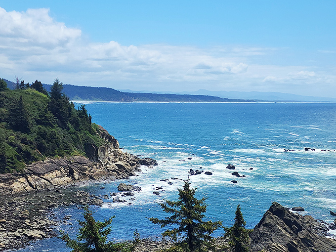 Nature's architecture on full display: Cape Arago's dramatic cliffs stand like sentinels against the relentless Pacific, sculpted by millennia of waves that never called in sick.