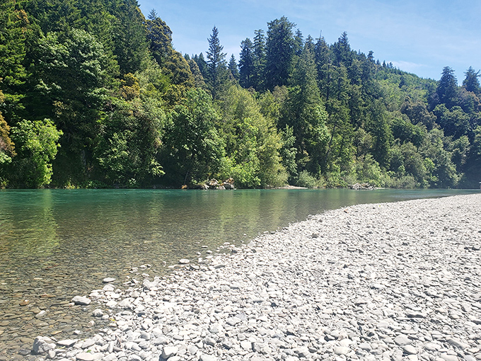 Nature's own emerald canvas where the Chetco River paints masterpieces with light and shadow. Oregon doesn't just show off here&mdash;it performs.