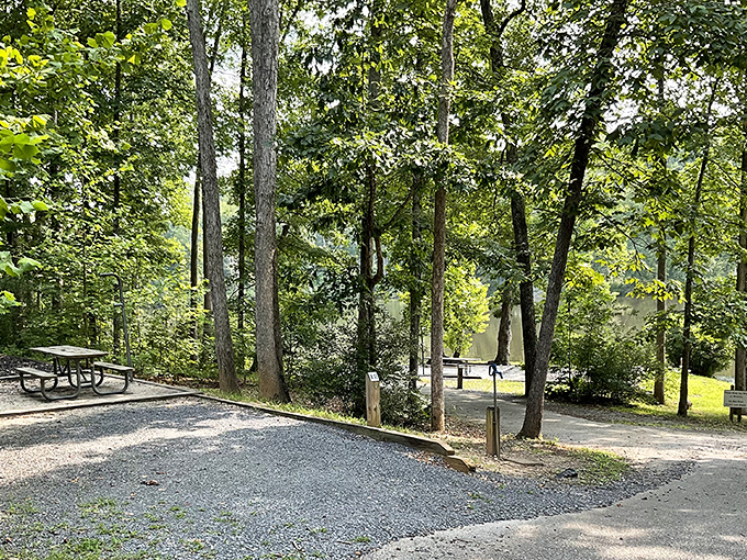 Nature's perfect mirror: paddle boats await adventure on the glassy waters of Bear Creek Lake, where reflections are so clear you might forget which way is up.