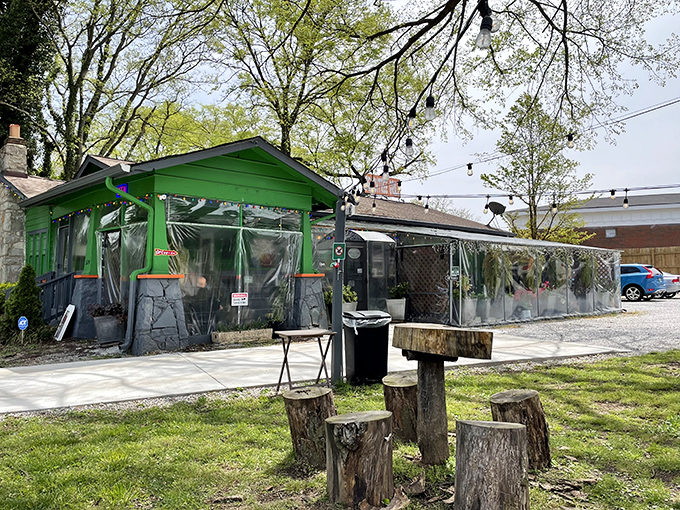 This unassuming green gem proves that the best treasures often hide behind the most modest facades.