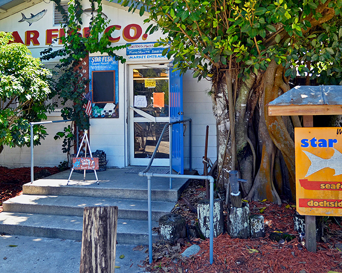 The unassuming entrance to Star Fish Company belies the seafood treasures within. Florida's best culinary experiences often hide in plain sight.