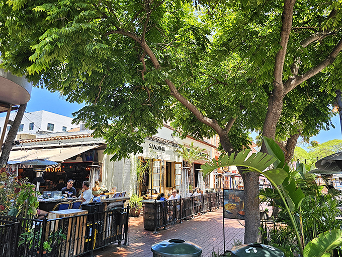 Santa Barbara's architectural charm meets culinary magic at Sandbar's inviting patio. Those leafy trees aren't just for show&mdash;they're nature's air conditioning for your taco enjoyment.