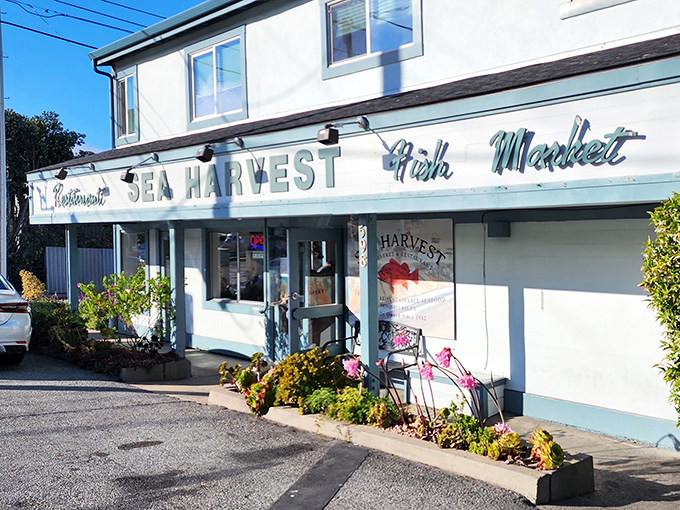 The unassuming exterior of Sea Harvest belies the seafood treasures within. Like finding a pearl in an oyster, this place delivers big flavors in a modest package.