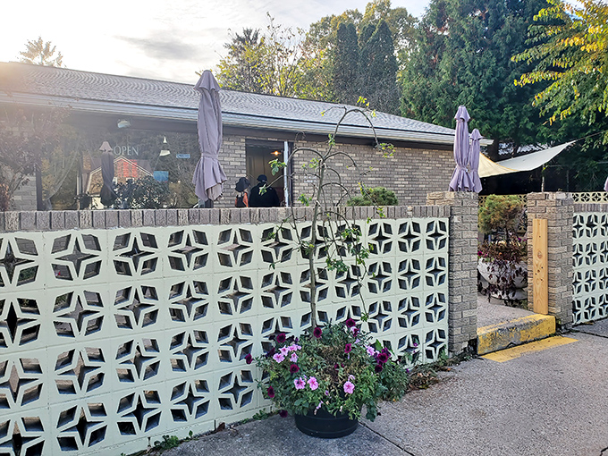 The unassuming exterior with its vintage decorative concrete wall is like finding a rare vinyl record in your uncle's attic—unremarkable until you discover what's inside.