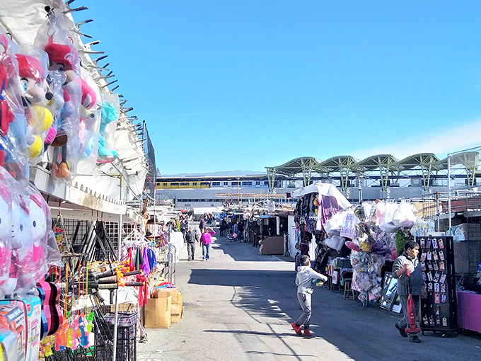 A treasure hunter's paradise stretches before you, where colorful toys and knickknacks line the walkway like a carnival of commerce under the California sun.