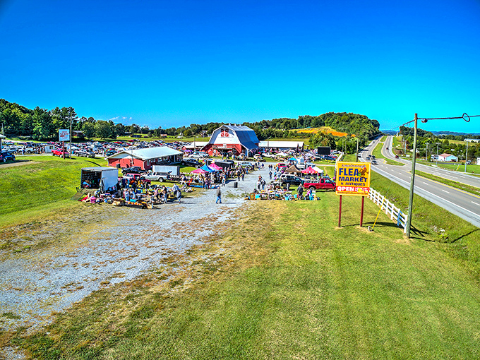 A treasure hunter's paradise from above! The Jonesborough Flea Market sprawls across acres of East Tennessee countryside, with the misty Appalachian Mountains creating a perfect backdrop.