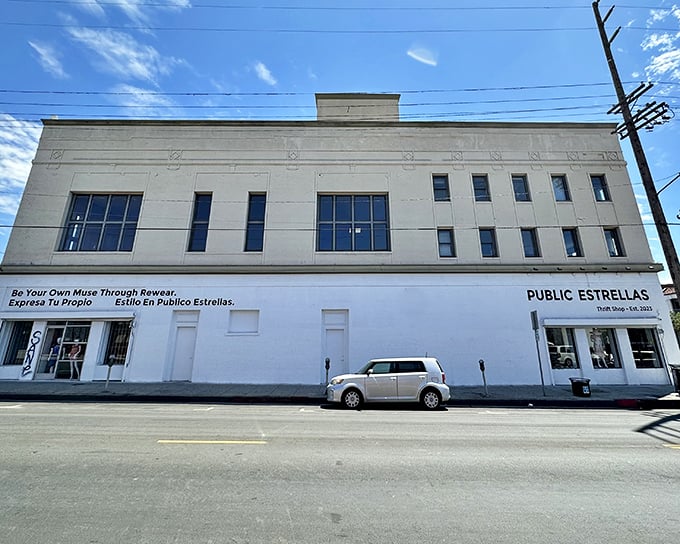The unassuming white fortress of frugality stands proudly on an LA street, promising treasures within that would make any bargain hunter's heart race.