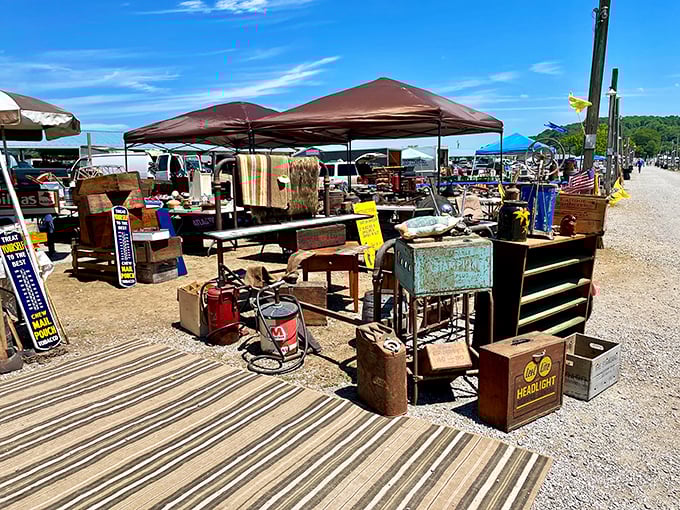 Welcome to treasure hunting paradise where every colorful tent promises an adventure worth discovering.