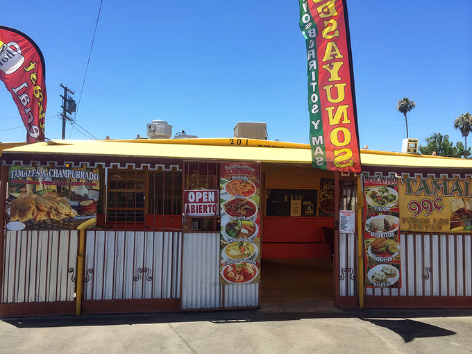 Don't judge this book by its cover &ndash; behind that humble facade lies tamale magic that'll change your life forever. 