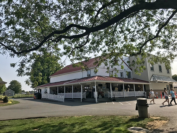 The white clapboard exterior of Bird in Hand Bakeshop stands like a beacon of sweetness amid Lancaster County's rolling farmland. Paradise found!