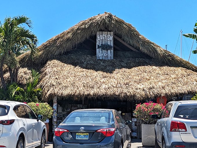 The thatched-roof entrance to Hogfish Bar & Grill feels like stumbling upon a secret clubhouse where the password is "fresh seafood."