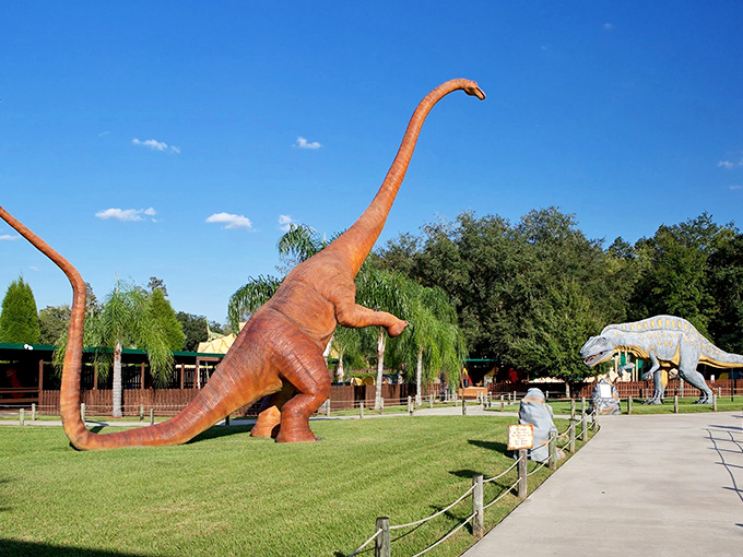 Life finds a way at Dinosaur World, where these prehistoric predators look ready to audition for the next Jurassic blockbuster. The detail in those teeth? Terrifyingly magnificent.