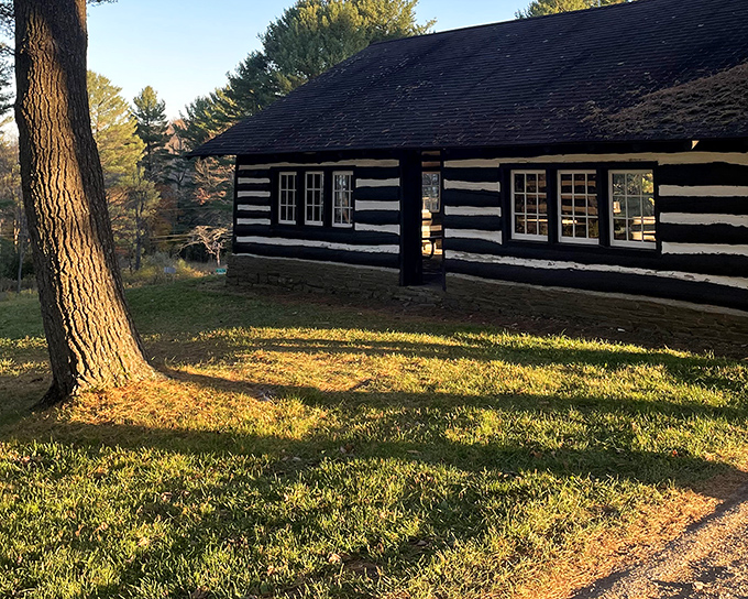 The wide-open field at Cherry Springs looks unassuming by day, but transforms into nature's IMAX theater when darkness falls. Cosmic magic awaits.