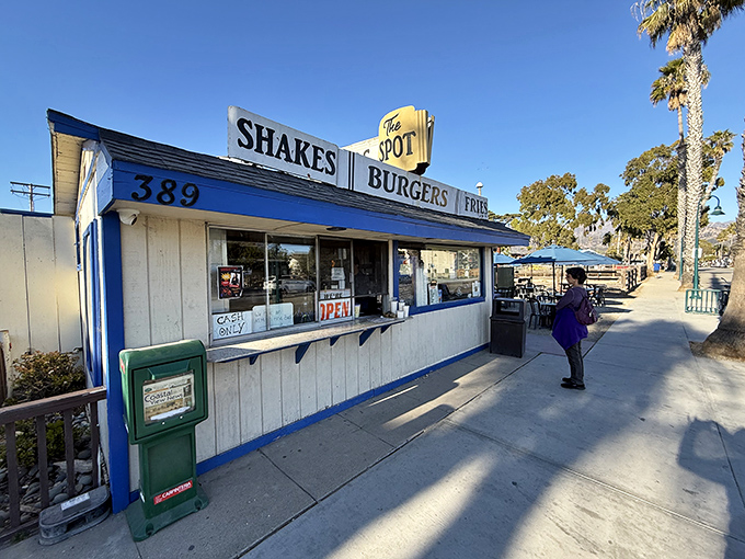 The quintessential California beach shack dream—palm trees, blue skies, and a sign promising the holy trinity: shakes, burgers, cones.