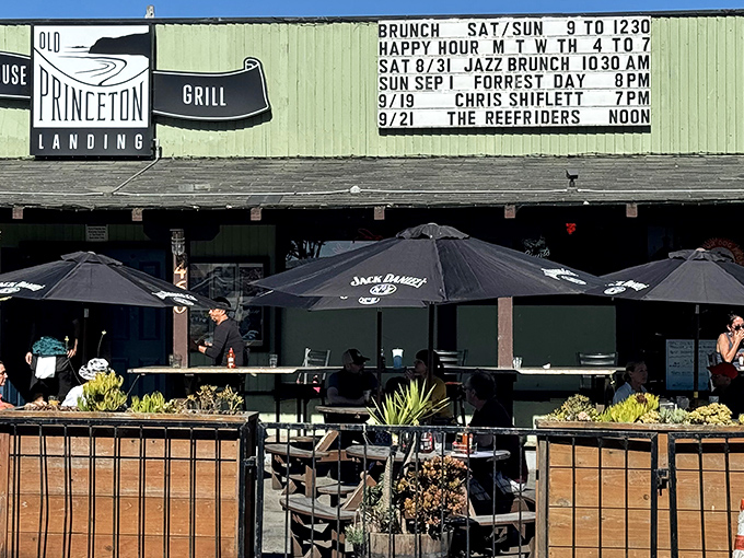 A coastal treasure hiding in plain sight - Old Princeton Landing's weathered green exterior and sunny patio welcome you like an old friend who happens to make incredible food.
