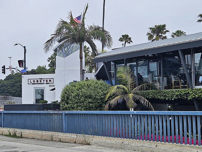 The iconic white exterior of The Lobster stands sentinel at the entrance to Santa Monica Pier, promising seafood treasures with ocean views that'll make your Instagram followers weep.