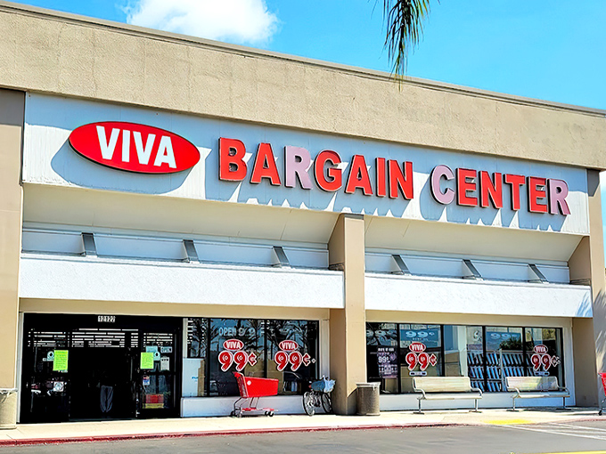 The unassuming storefront of Viva Bargain beckons with its siren song of "99&cent;" signs. Retail therapy without the therapy bills!