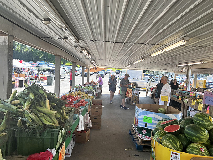 Bargain hunter's paradise! Cardboard boxes transform into treasure chests at Green Dragon's outdoor market, where one person's castoffs become another's must-haves.