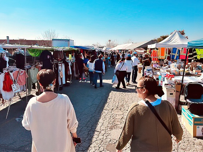 The treasure hunter's paradise stretches before you like a retail Narnia. Every aisle promises discoveries that'll make your friends wonder where you've been shopping.
