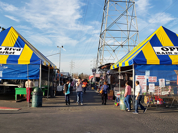 The iconic red, white, and blue entrance tent stands like a carnival barker announcing "OPEN RAIN or SHINE" &ndash; a promise that treasure hunting waits for no weather forecast.