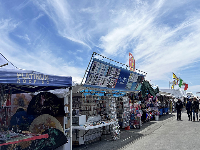 Treasure hunting under California's brilliant blue skies. Rows of vendor stalls stretch toward the horizon, each one a potential goldmine of unexpected finds.