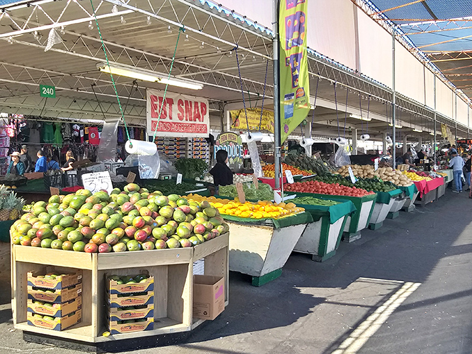 A treasure hunter's paradise stretches before you, where colorful toys and knickknacks line the walkway like a carnival of commerce under the California sun.