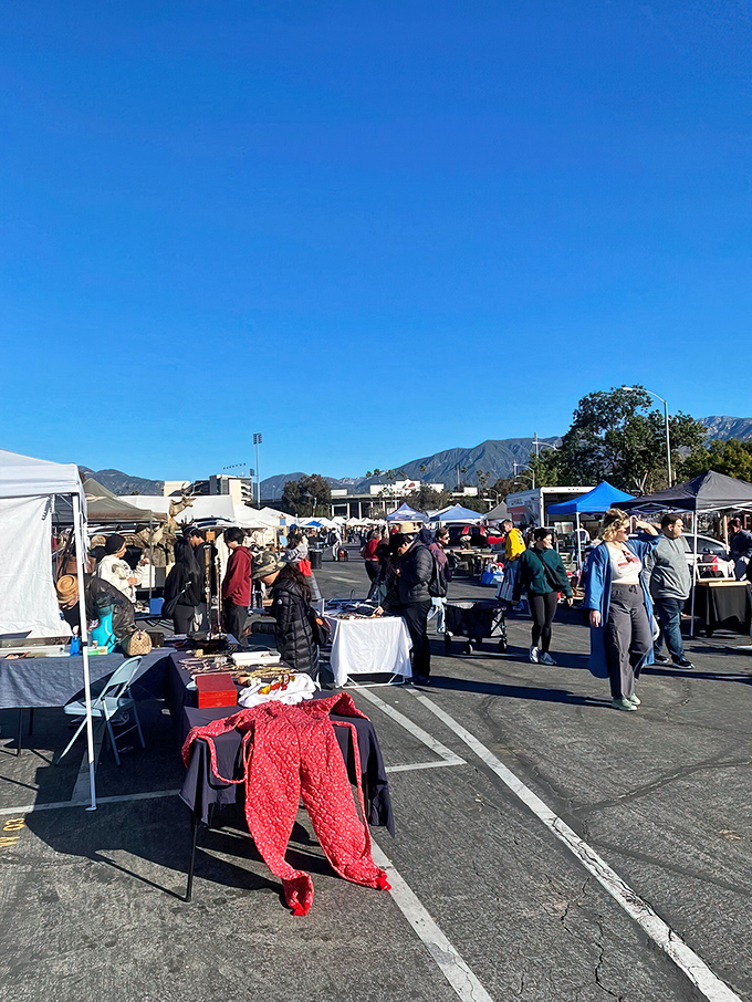 A treasure hunter's paradise stretches to the horizon, with the San Gabriel Mountains providing a dramatic backdrop to this asphalt wonderland of possibilities.
