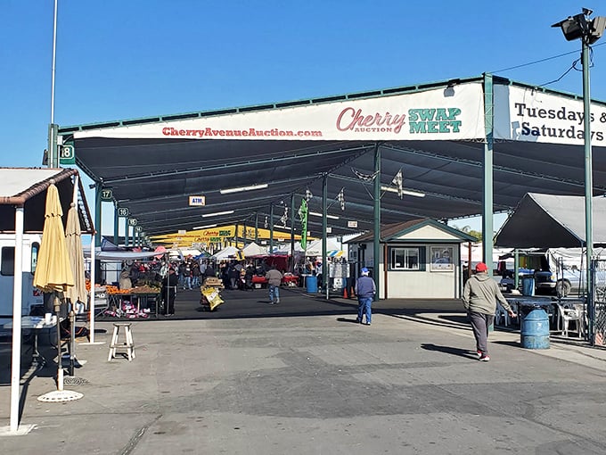 Welcome to treasure hunter's paradise, where your wallet and willpower face their ultimate test under Fresno's endless sky.