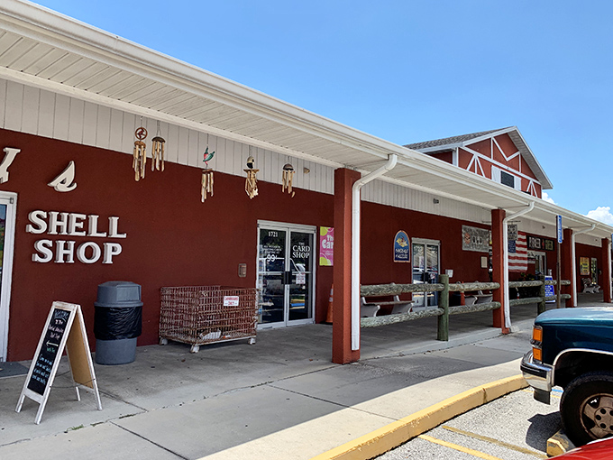 The iconic red exterior welcomes treasure hunters with its rustic charm. The Shell Shop beckons with coastal finds for your Florida souvenir collection.