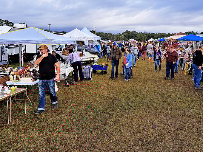 Morning at Swap-O-Rama unfolds like a treasure map coming to life, with rows of white tents beckoning shoppers to discover what lies beneath their canvas roofs.